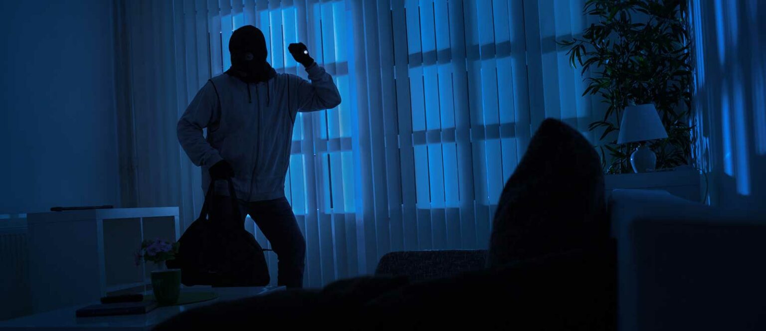 Property Crime | Knox Defense